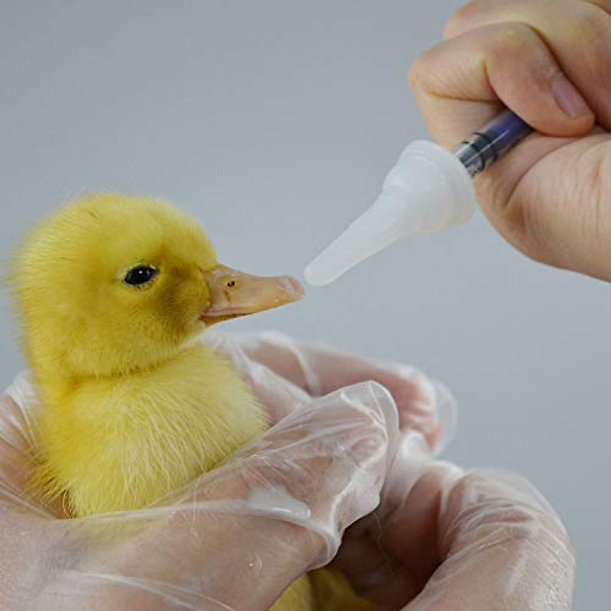 Newborn Kitten Puppy Feeding Bottles for Nursing, Pet Nurseing Feeding Bottle Kits with Replacement Nipples