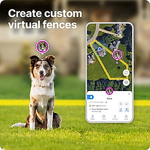 Halo Collar 3 - GPS Dog Fence - Multifunction Wireless Dog Fence & Training Collar with Real-Time Tracking & GPS - Waterproof, Instantly Create and Store Wireless Fences (Small, Graphite)