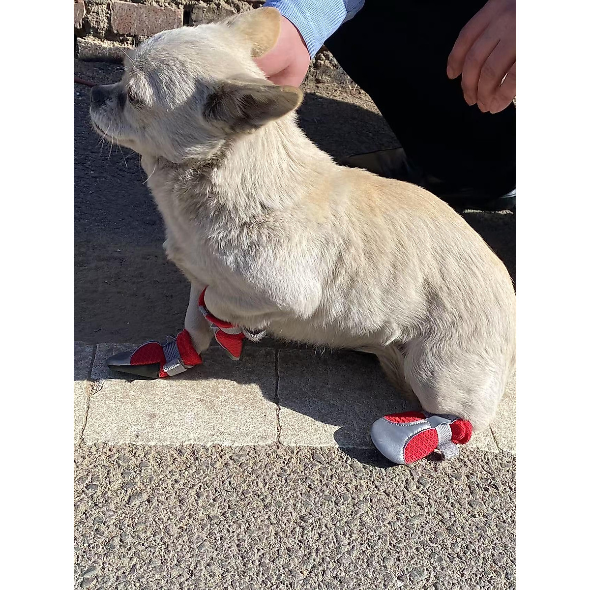 LONSUNEER Dog Boots for Small Dogs Soft Reflective and Nonslip Set of 4 (Small, Red)