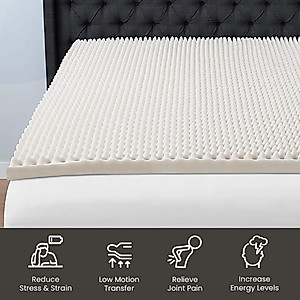 Treaton 1-inch Medium Firm Foam Toppers with Convoluted Egg Shell Design | Extends Mattress Topper Life, Provides Proper Back Support and Relieves Pain, Improves Better Posture, Twin, Off-White