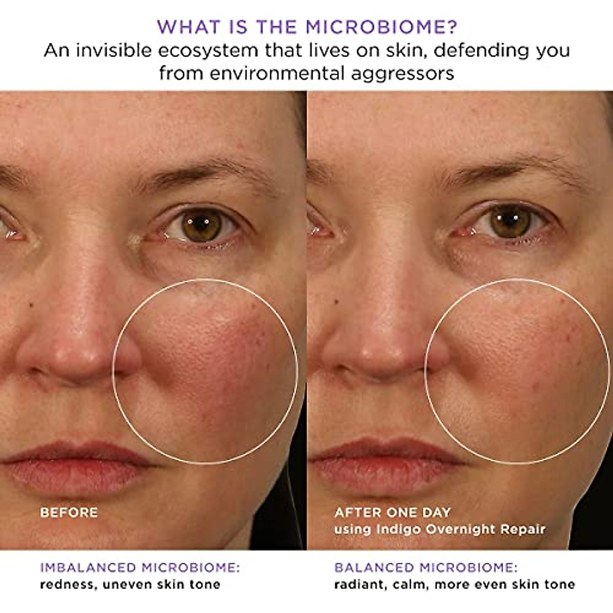 TATCHA Indigo Overnight Repair: Serum in Cream Treatment, Fragrance Free, 50ml | 1.7 oz