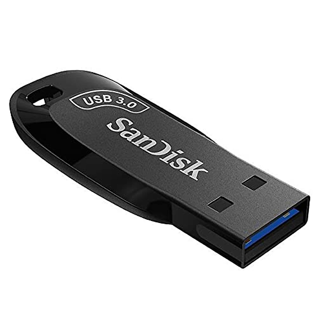 SanDisk 32GB (10 Pack) Ultra Shift USB 3.0 High Speed 100MB/s Flash Drive SDCZ410-032G Bundle with (5) GoRAM Black Lanyard (32GB, 10 Pack)