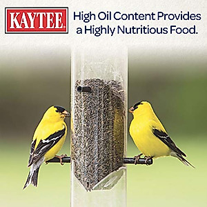 Kaytee Nyjer Wild Bird Food Seed, 3 Pound