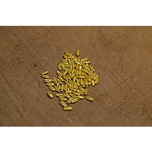 Geranium Seeds - Maverick Star Seeds - Film-Coated for Easy Planting- F1 Hybrid Non-GMO Seeds - 25 Seeds per Packet - White Edged with Rose Flowers