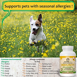 Immune Support Dog Supplement - Dog Allergy Relief with Vitamins, Minerals, Echinacea and Brewers Yeast for Dogs - Immunity Dog Health Supplies, Dog Itch Relief - Cat & Dog Vitamins and Supplements