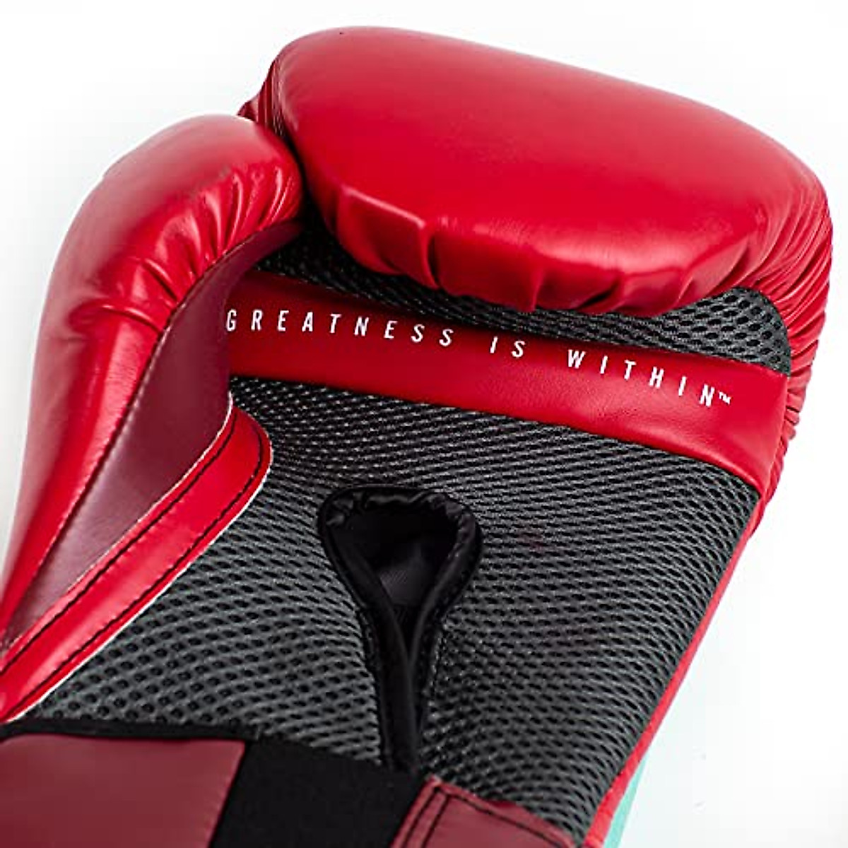Everlast Elite V2 Training Glove Flame Red 12OZ