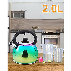 HausRoland Tea Kettle 2.1 Quart Stainless Steel Stove Top Induction Modern Kettle Teapot (GS-04048-A-781B, Rainbow)