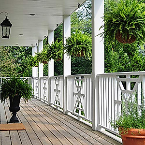 Blue Donuts Swivel Hook Hangers, Multi-Functional for Hanging, Screws and Anchors Included, 2 Sets Per Pack,Black