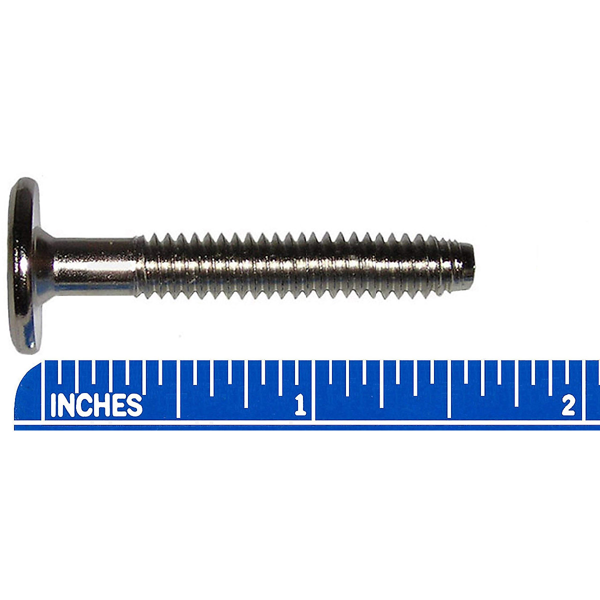 1/4" - 20 TPI x 40mm (1.57" ≈ 1-37/64") Hex Drive Button 17mm Diameter Head Furniture Bolts Nickel Plated Chrome Like Finish (20 Pieces)