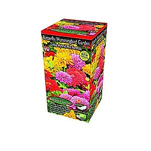 Zinnia Speciality Roll Out Flowers - Concentrated Flower Planting Gardener Indoor Outdoor Kit - by Garden Innovations