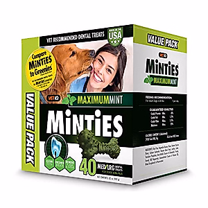 VetIQ Minties Dog Dental Bone Treats, Dental Chews for Dogs, (Perfect for Medium / Large Dogs over 40 lbs)
