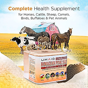 UMAID Compressed Pink Himalayan Salt Lick, [2 Pack] – 5.5 Lb. 100% Natural Himalayan Salt Block with Hanging Rope Helps Replace Lost Electrolytes for Deer, Horse, Cow, Goat, Pigs, Wild Animals & Pets