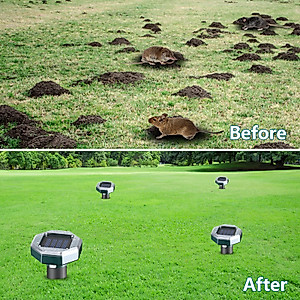 ELIOELIO Mole Solar Powered 8 Pack Sonic Groundhog Vole Snake Gopher Deterrent for Lawn Garden Outdoor Chipmunk