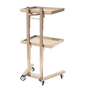 Xuthusman 2-Tier Foldable Tray Trolley Salon 4-Wheel Rolling Cart Utility Storage Shelves Holder with Service Tray Stainless Steel (Gold)