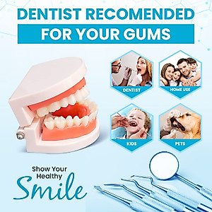 Dental Tools, Dental Pick for Teeth Cleaning - Dental tools to remove plaque and tartar - Dentist Instrument Set for Teeth Cleaning - Stainless Steel Scraper and Mouth Mirror for Calculus (Aqua)