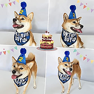 ENJOYING Pet Dog Bandana Doggy Birthday Party Supplies Plaid Dog Bandanas Scarf Pet Birthday Hat with Number for Small Medilum Dogs and Cats, Blue