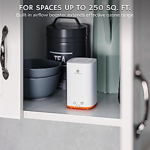Airthereal PA300-GO Portable Ozone Generator - Cordless Battery Powered Odor Eliminator for Refrigerator, Car, Travelling, Shoe Cabinet, and Other Small Spaces, White 1-Pack