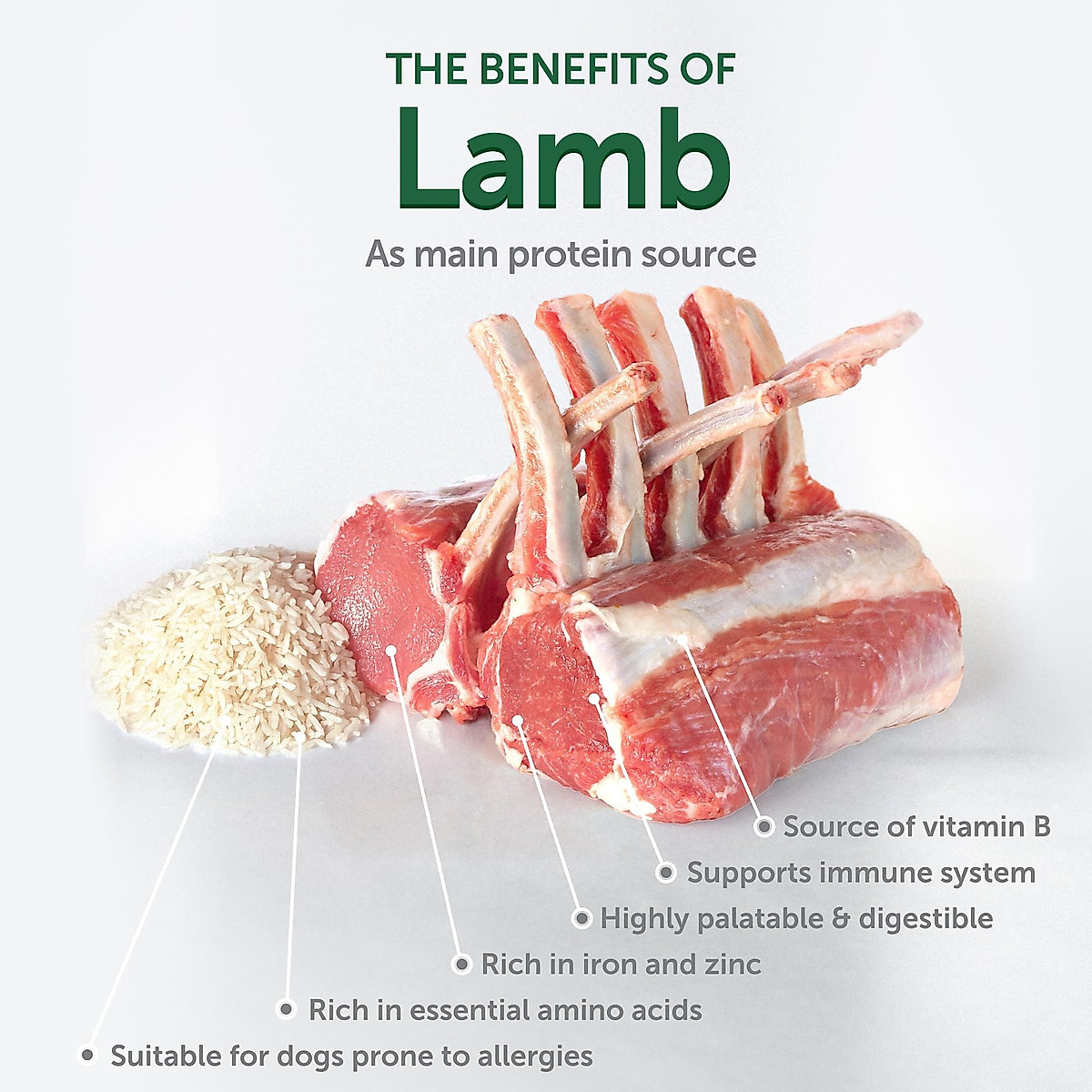 Nature's Protection Superior Care White Dogs Dry Dog Food with Lamb and Rice for Adult Small and Mini Breeds Light Coated Dogs 3.3lb