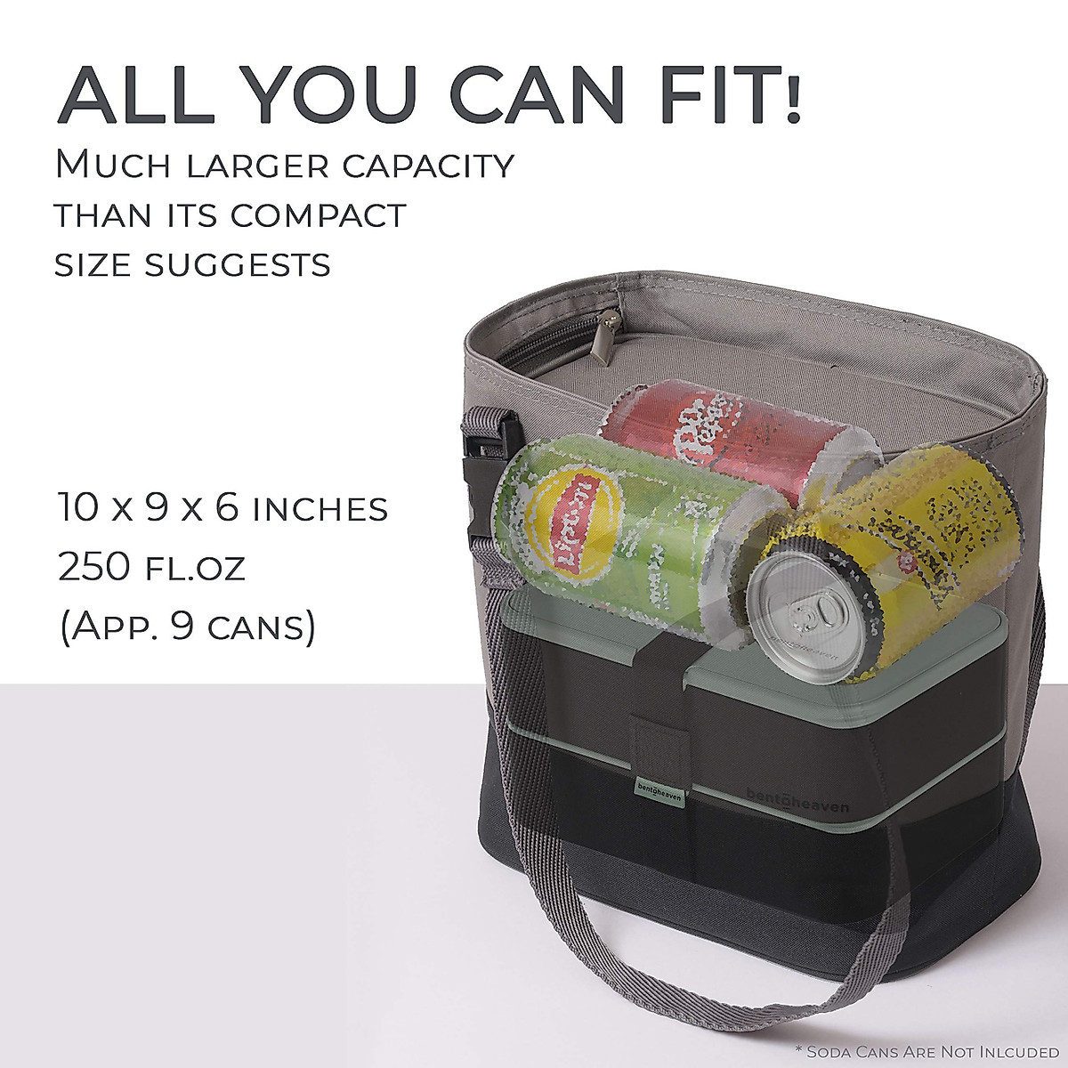 Bentoheaven Premium Bento Lunch Box with Insulated Lunch Bag - Includes Sauce Cup, Divider, Cutlery & Chopsticks - Made of Durable Aluminum and Foam