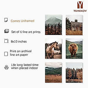 Highland Cow Pictures Wall Art - Farm House Animal - Boho Western Decor - Gift Cowboy Men Cowgirl - Set of 6 - Old West Ranch Room Decor - Country Horse Print - Fall Rustic Farmhouse Bathroom Poster