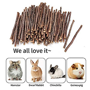 CHUHUAYUAN Natural Apple Sticks, 300g Treats Food for Small Animals, Chew Toys for Chinchilla Guinea Pigs Rabbit Squirrel Hamster Bunny