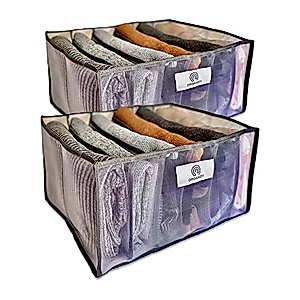 ORGANIDY Wardrobe Clothes Organizer for Underwear - Closet Organizers and Storage, Storage Drawers, and Organizer Bins - 6 Grids for Bras, Socks, and Jeans - 11.8" x 14.2" x 7.9", Clear Mesh 2-Pack