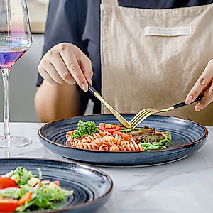 HVH Porcelain Dinner Plates Set of 6, 10.25 inch Ceramic Plates Set, Large Dinner Plates Set for Dinner, Salad, Ceramic Dinner Plates, Healthy Dinner Plates Set of 6, Farmhouse Style (Black)