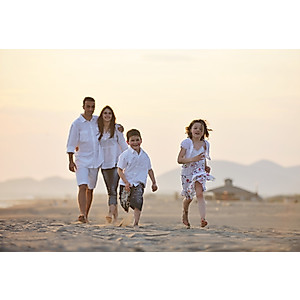 Yogurt Starter Cultures - Pack of 12 Freeze-dried Culture Sachets for Pure Acidophilus Yogurt(12)