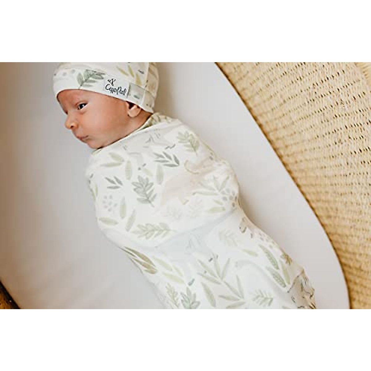 Large Premium Knit Baby Swaddle Receiving Blanket"Rex" by Copper Pearl