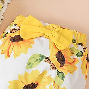 Honykids Toddler Baby Girls Sister Matching Outfits Little Sister Big Sister Clothes Set