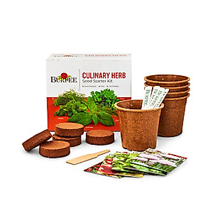 Burpee Culinary Garden Starter Kit Packets, 5 Pots, 5 Coir Pellets & 5 Plant Markers Non-GMO Herb Seeds: Cilantro, Dill, Parsley, Sweet Basil & Chives