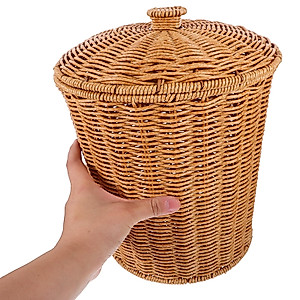 LIOOBO Round Rattan Storage Basket with Lid: Rattan Basket with Lid, Round Storage Basket for Home Organizer