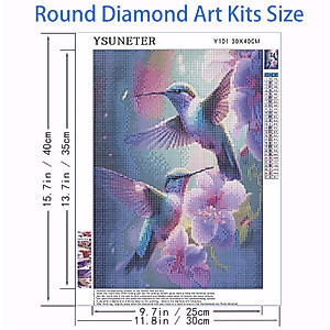 Hummingbird Diamond Art Kits for Adults, Birds Round Full Drill Diamond Painting Kits for Beginners Gem Art Painting Kits, DIY 5D Diamond Dots Painting with Diamond Arts and Crafts Decor 12x16inch