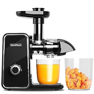 IWODTECH Juicer Machine, Cold Press Juicer with 2 Speed Modes, Slow Masticating Juicer Vegetable and Fruit, Celery Juicer, BPA-Free, Easy to Clean, Black