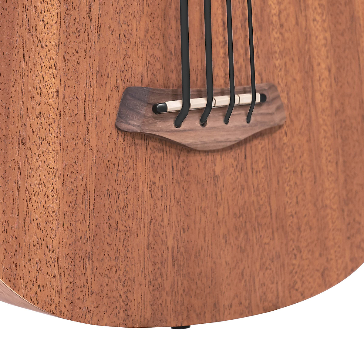 Gold Tone M-Bass25 25-Inch Scale Acoustic-Electric MicroBass with Gig Bag