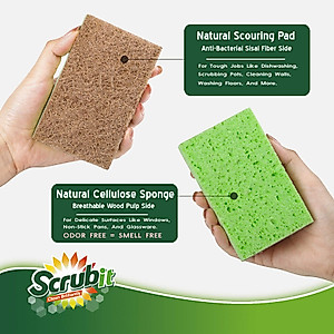 Natural Sponge by Scrubit - 24-Pack - Biodegradable Cellulose Natural Sponges for Dishes with a Tough Eco-Friendly Scouring Pad for Kitchen and Bathroom – Non-Stick Plant-Based Compostable Sponges