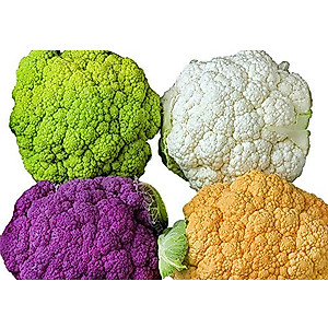 Please Read! This is A Mix!!! 50+ Cauliflower Mix Seeds Heirloom Non-GMO 4 Varieties Purple Green Yellow Delicious from USA