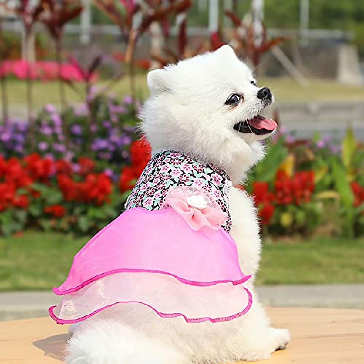 Clothes for Dogs Chihuahua Pet Dresses Spring and Summer Pet Cothes Spring and Summer Cute Pet Supplies Dog Clothes for Medium Dogs