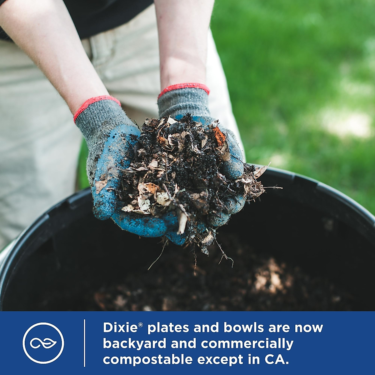 Dixie 10 Inch Paper Plates, Dinner Size Printed Disposable Plate, 204 Count (3 Packs of 68 Plates)