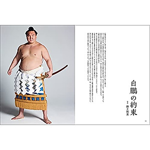 SWITCH SPECIAL ISSUE 白鵬翔 さざれ石の巌——大横綱の軌跡