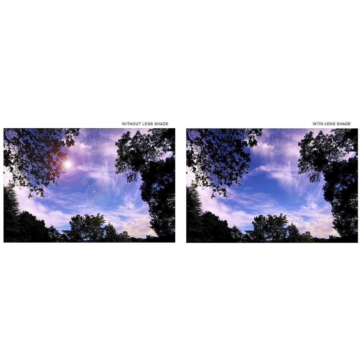 Canon Rebel T5 Pro Digital Lens Hood (Flower Design) (52mm) + Nw Direct Microfiber Cleaning Cloth.