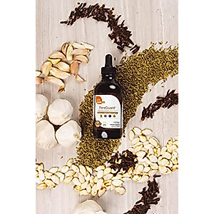 Zahler - ParaGuard Cleanse Liquid Drops - Gut Health Detox Supplement - Formula has Wormwood, Garlic Bulb, Pumpkin Seed, Clove & More - Natural Cleanse Detox for Humans - Certified Kosher (4 Oz)