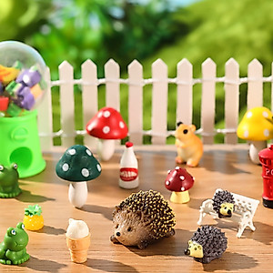 13 Pieces Miniature Fairy Garden Accessories Resin Mini Hedgehogs and Mushroom Garden Accessories Fairy Outdoor Garden Animals Figurines for Fairy Garden Micro Landscape Plant Pots Bonsai Craft Decor