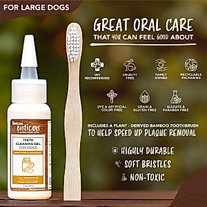 TropiClean Enticers Teeth Cleaning Gel & Toothbrush for Large Dogs | Peanut Butter & Honey Flavor | Bamboo Brush Speeds Up Plaque Removal | Gel Helps Fight Bad Breath | 2 oz