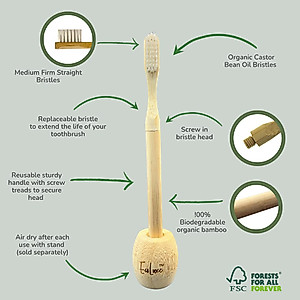 EcoLuxe Manual Bamboo Toothbrush with Replaceable Castor Bean Oil Medium Firm Bristles for Adults, 2 Packs