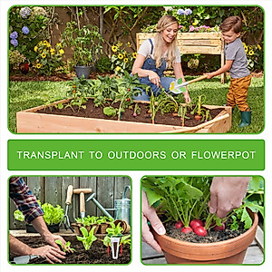 XFVFXZZ 121 Pcs Seed Pods Kit Compatible with Aerogarden, Suitable for Hydroponics Growing System for a Variety of Plants, Outdoor and Indoor Hydroponics Supplies