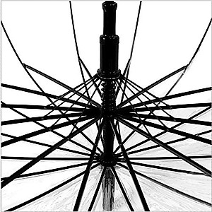 ThreeH Clear Large Umbrella Windproof Auto Open 16 Steel Ribs Classic Transparent Umbrella Unisex adult,KS10 Black