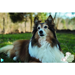 Dr. Baker's Canine System Saver