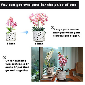 KERUITA Orchid Pots with Holes,6 inch + 5 inch Ceramic Planters Set of 2 with 2 Bottom Tray, Enhanced Drainage and Ventilation,White Flower Pots for Indoor/Outdoor Plants for Repotting