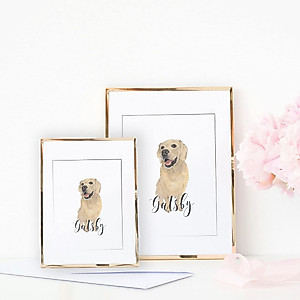 5-Star Compatible Replacement for 962xl Officejet Pro 9010, 9012, 9013, 9014, 9015e, 9016, 9018, 9019, 9020, 9025 4 Pack Black, Cyan, Magenta, Yellow